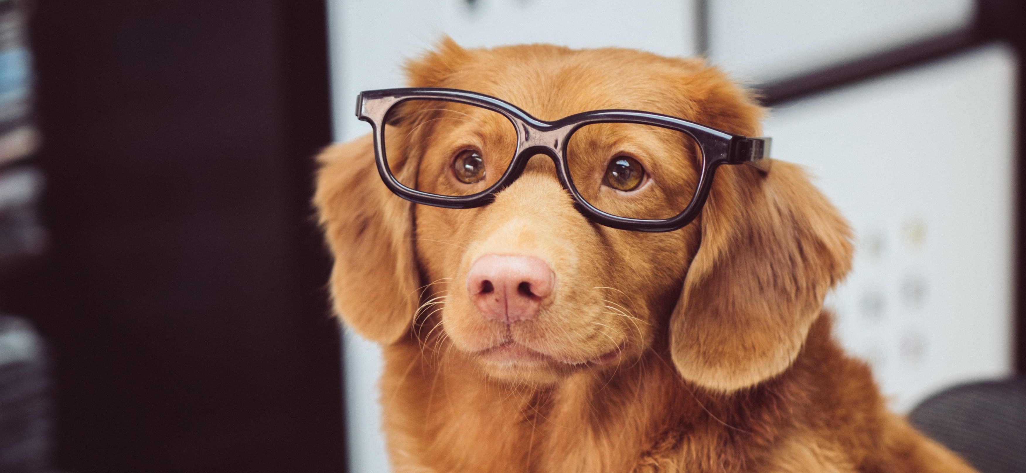 OCR: Extraction de texte haute qualité en une ligne de code